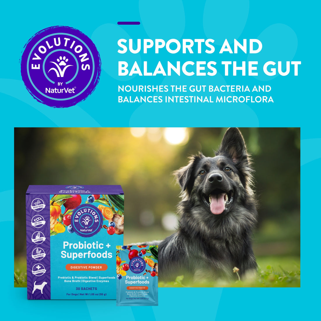 NaturVet Evolutions - Probiotic + Superfoods Sachet (30 Sachets ...