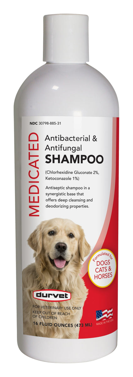 Durvet Medicated Antibacterial and Antifungal Shampoo - Eureka, CA ...