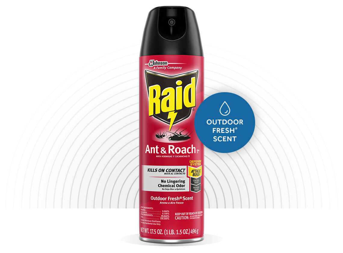 Raid ® Ant & Roach Killer 26 17.5 Oz - Eureka, CA - Ferndale, CA ...