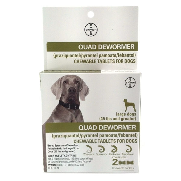 Bayer Quad Dewormer - Eureka, CA - Ferndale, CA - Nilsen Company