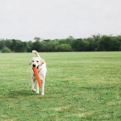 Petmate Chuckit! Breathe Right Fetch Stick - Eureka, CA - Ferndale, CA ...